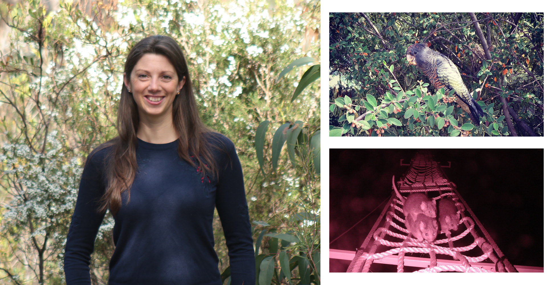 Meet A Conservation Biologist – K-Zone