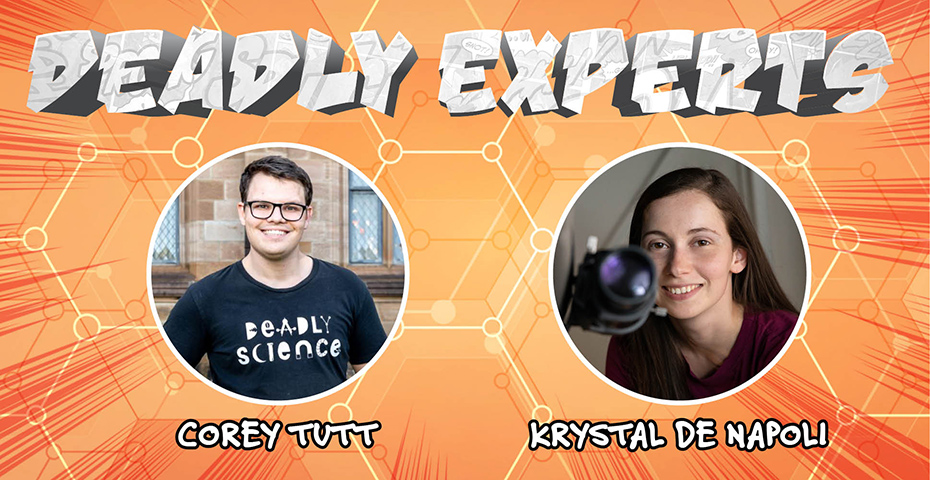 Deadly Experts With Corey Tutt: Krystal De Napoli – K-Zone
