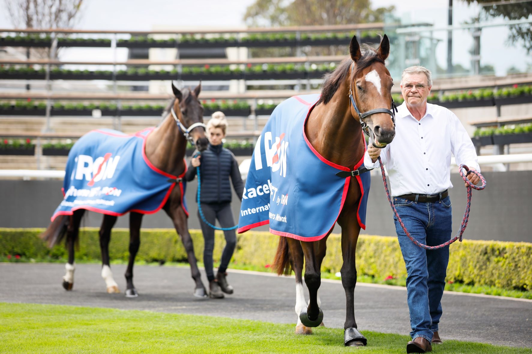 International Racehorse Owners Network launches NFTs - iTnews