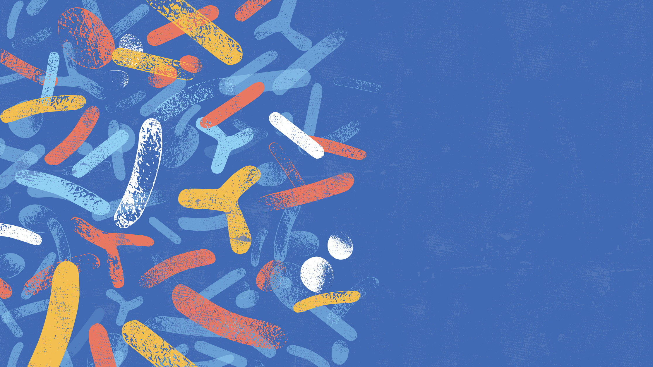 All About “Biotics” and Gut Health