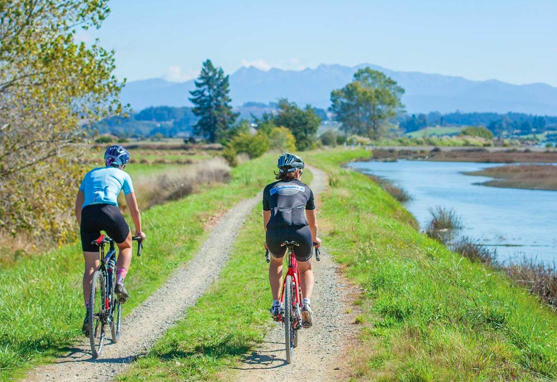 Cycling Nelson’s Great Taste Trail - More Sport - Inside Sport