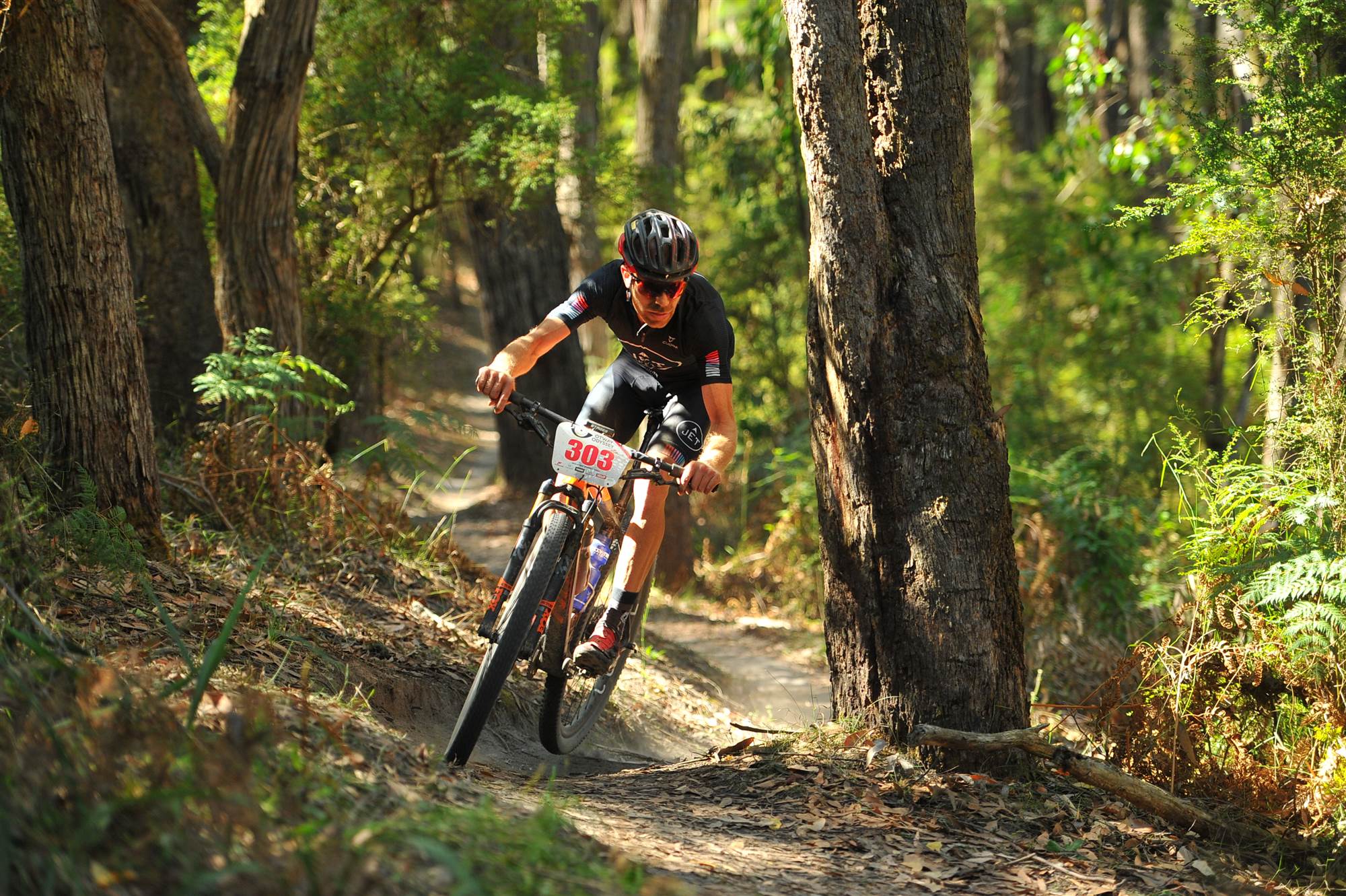 Otway Odyssey 2020 - Australian Mountain Bike | The home for Australian ...