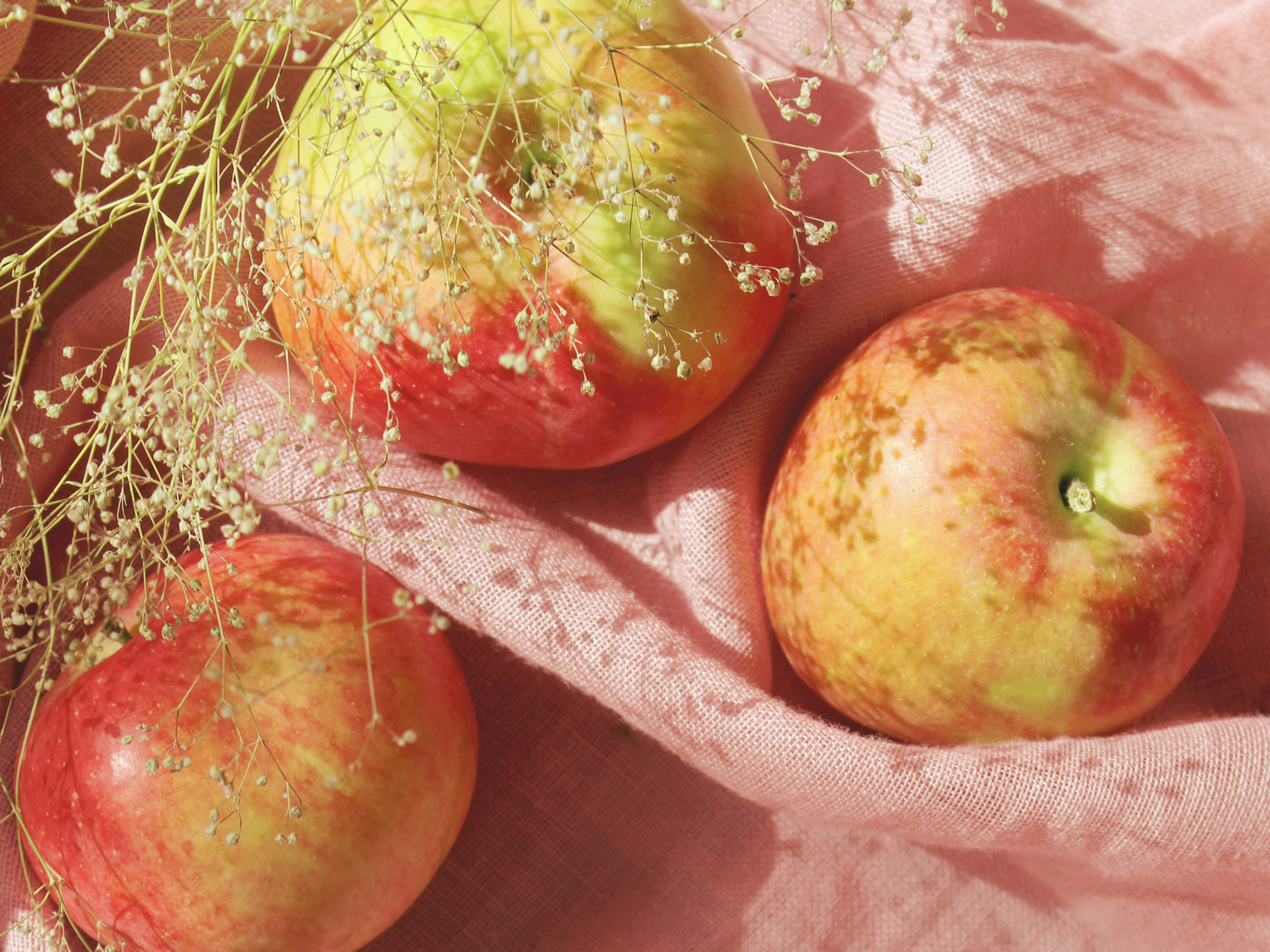 five apple recipes that are tasty to the core • food • frankie magazine ...