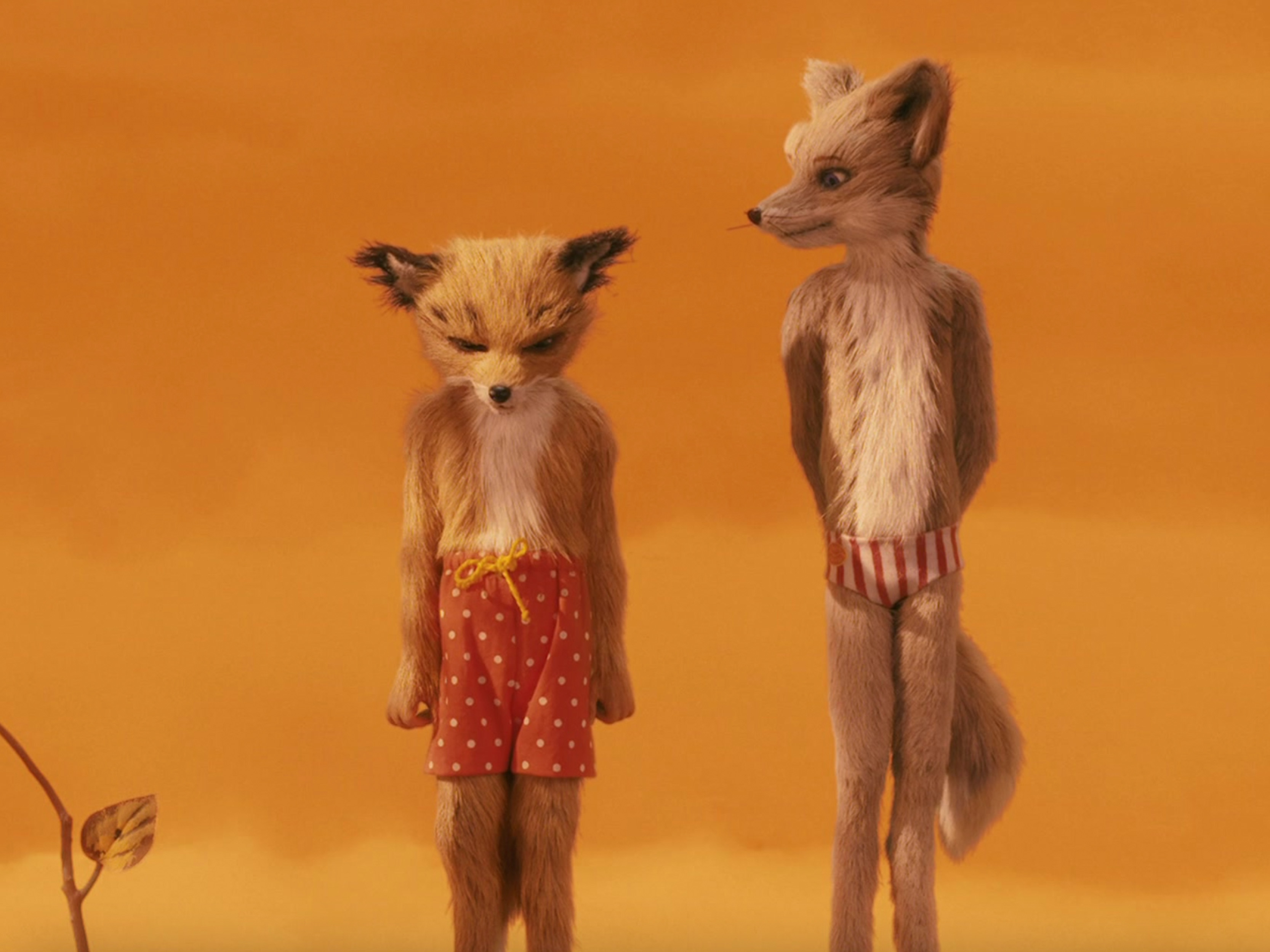 friday flicks – cosy films to watch this autumn • life • frankie ...