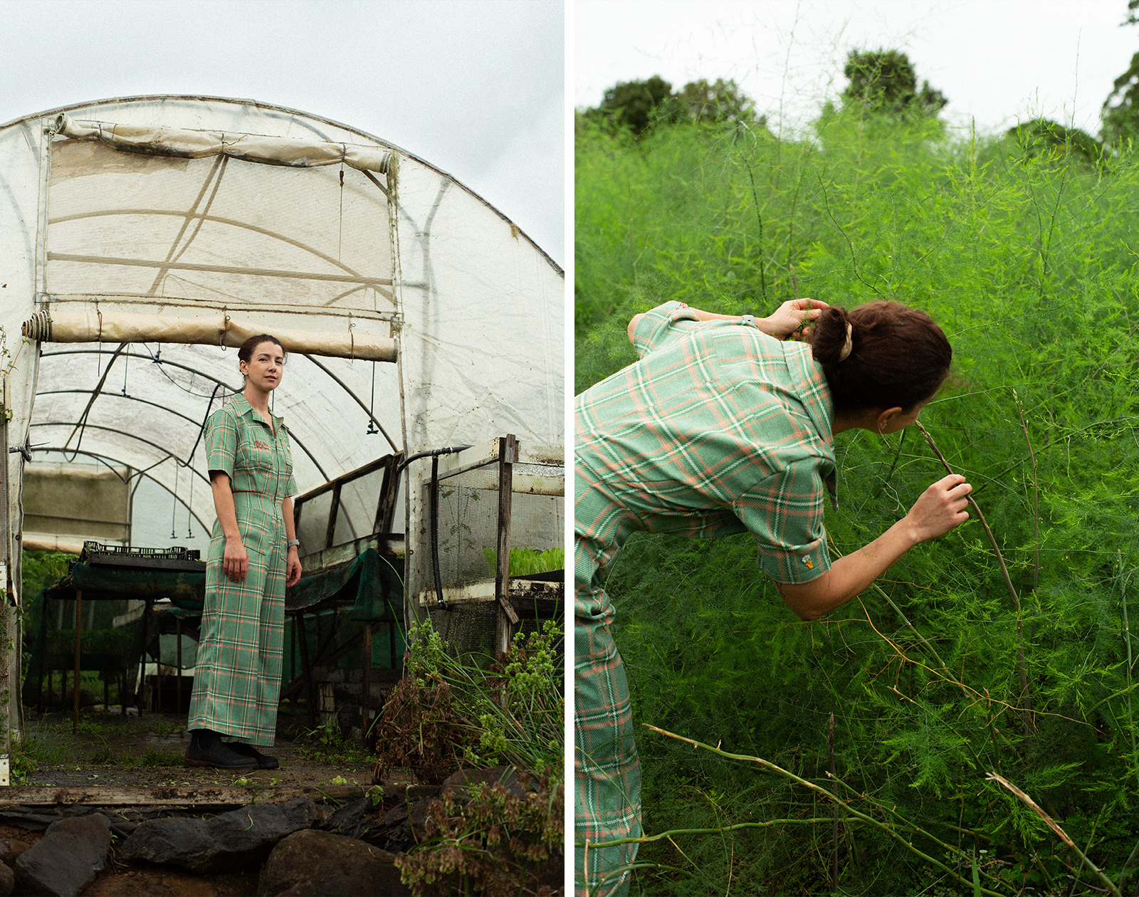 lowana davies wants to take you on an adventure of olfactory sensations ...