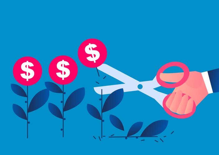 Why CIOs should hold off on slashing their IT budget: Gartner VP - iTnews Why CIOs should hold off on slashing their IT budget: Gartner VP - iTnews