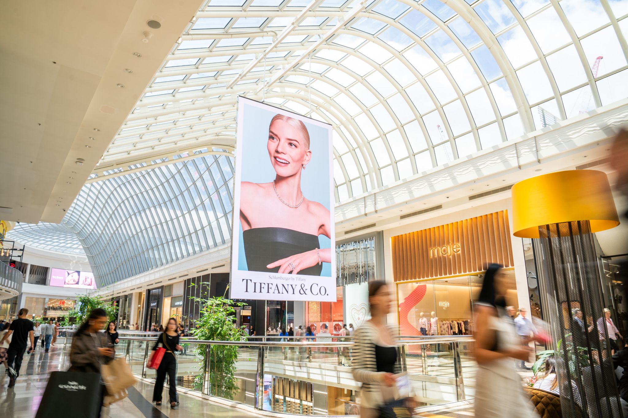 Woolworths’ Cartology builds digital screen footprint - iTnews