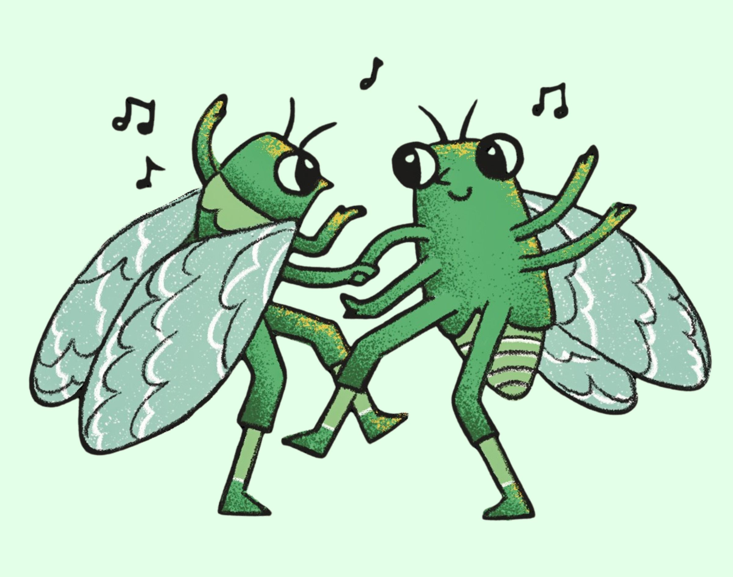 learn something new: the cicada cycle • life • frankie magazine ...