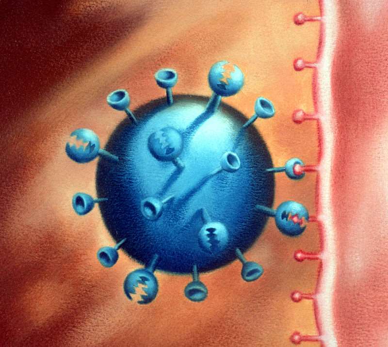 Vic Health using Defence algorithm to predict flu outbreaks - iTnews