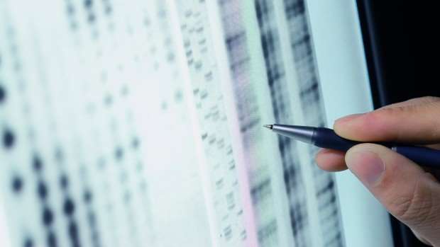 IBM's Watson to tailor Aussie cancer treatments - iTnews