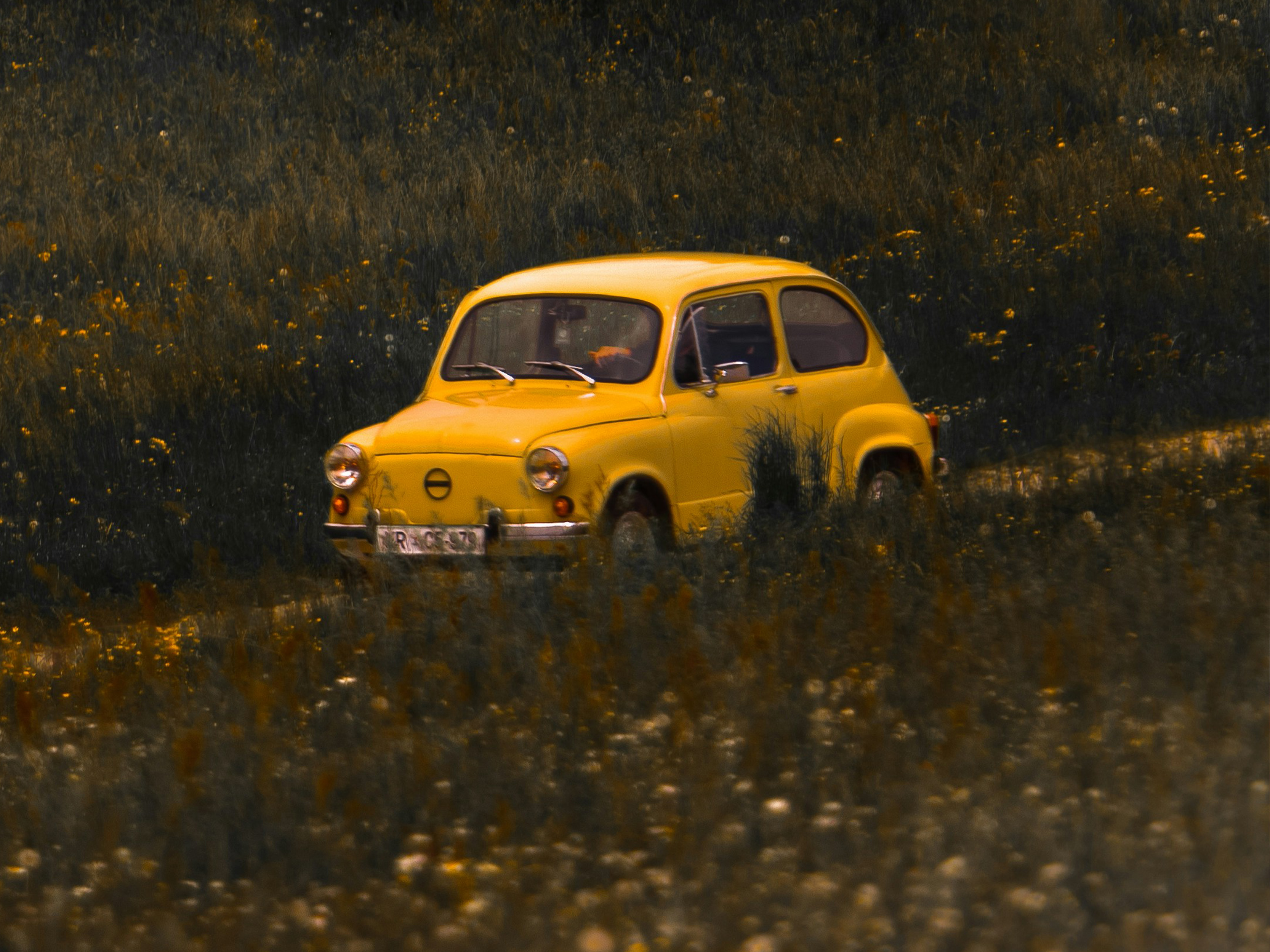 tunesday – frankie's driving playlist • music • frankie magazine ...