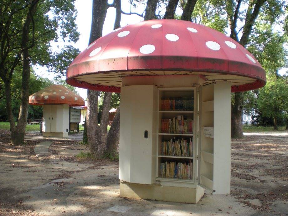 the mushroom library • travel • frankie magazine • australian fashion ...