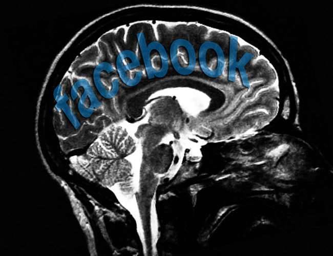 Facebook isn't a brain-drainer, it's a brain-changer | Medicine ...