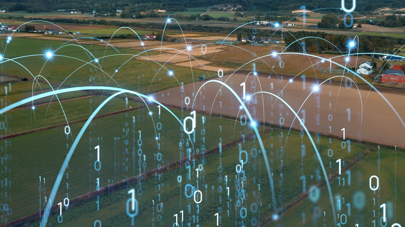How data and analytics are improving farming - iTnews