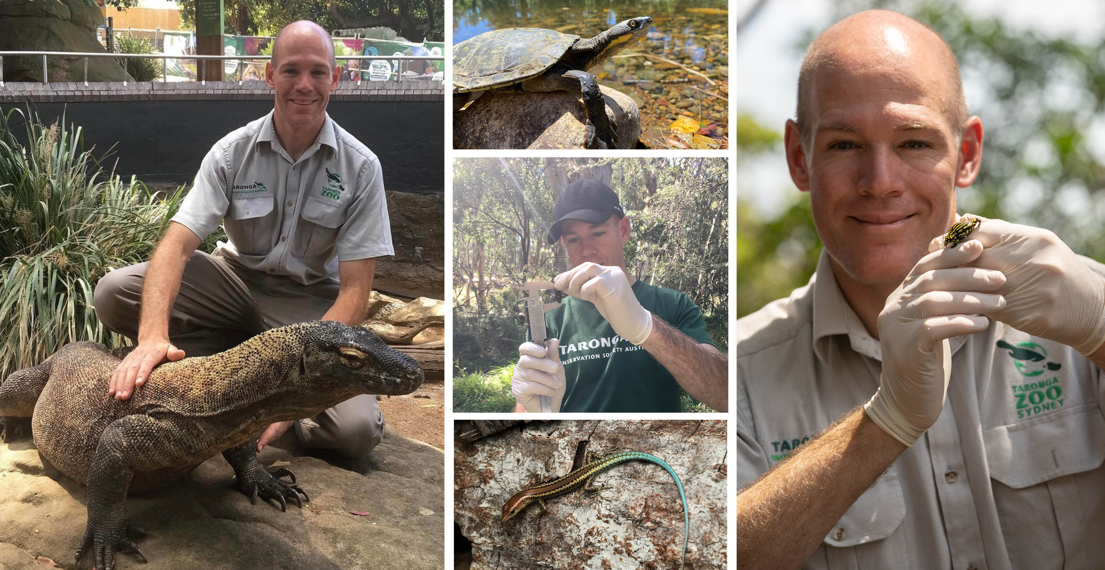 Meet Taronga Zoo's Reptile and Amphibian Expert