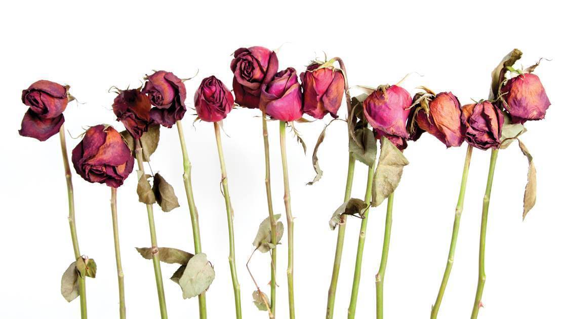 5 Best Non-surgical Skin Treatments - Life - Prevention Australia