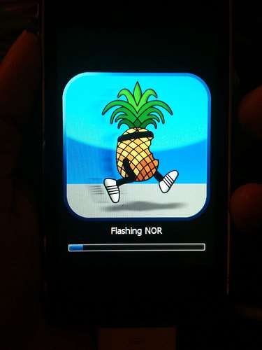 Jailbroken phones not safe for banking - iTnews