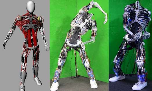 A Humanoid Robot With Lifelike Bones And Muscles | Robots | Australian ...
