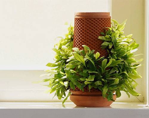the terraplanter is an 'inside-out' planter • interiors • frankie ...