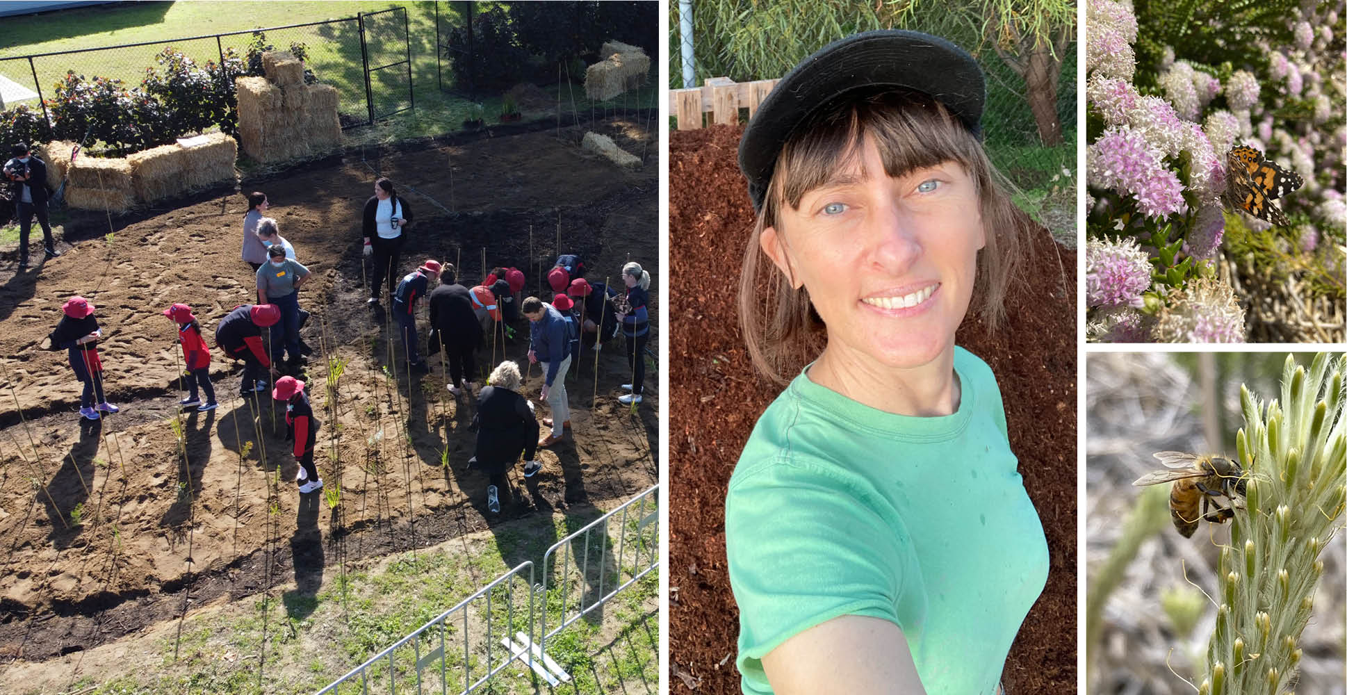 Meet The Ecologist Bringing Pocket Forests Into Schools