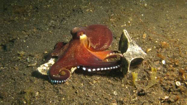 Standard Chartered backs password-less tech startup - iTnews