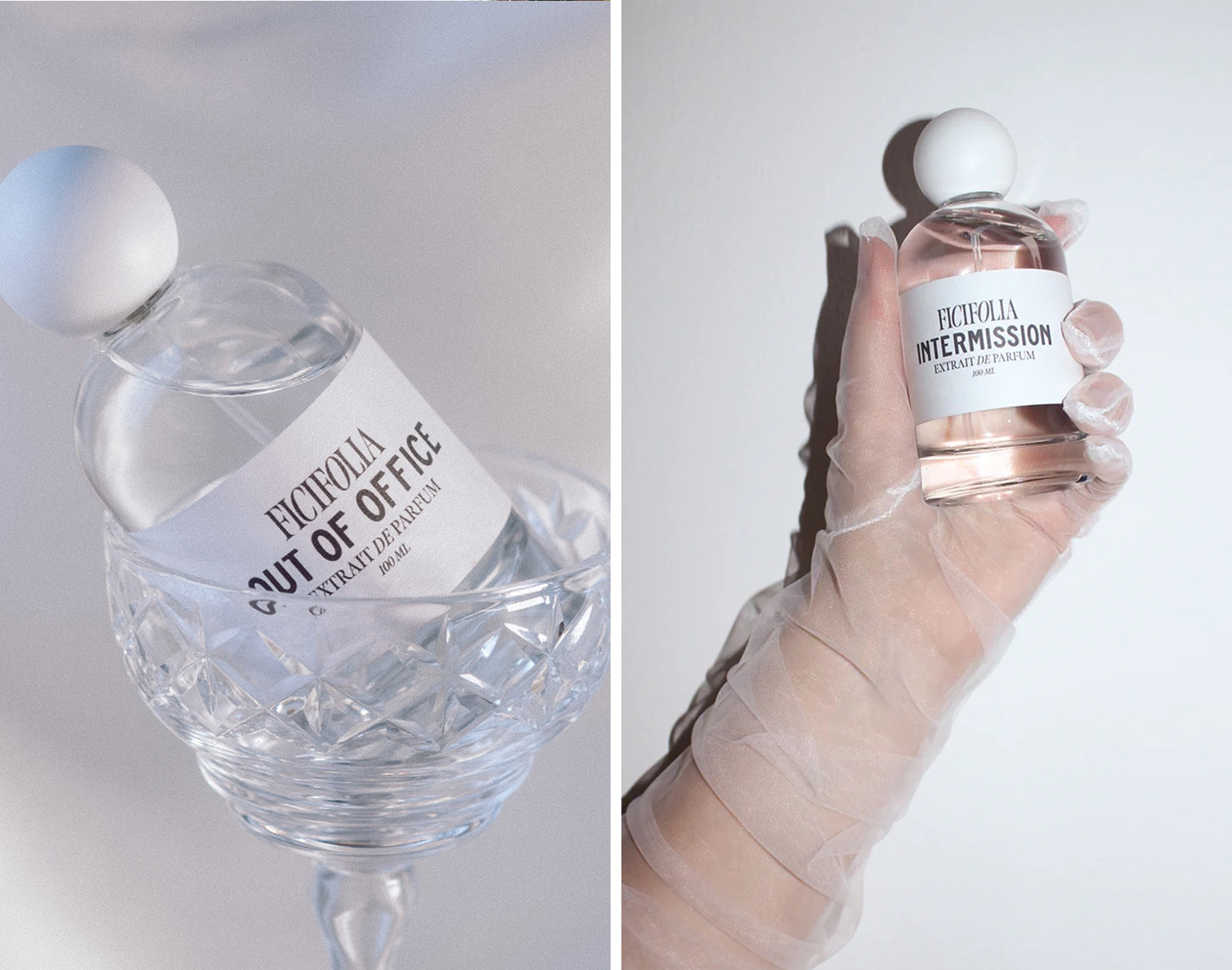 ficifolia fragrances is an ode to city smells • fashion • frankie ...