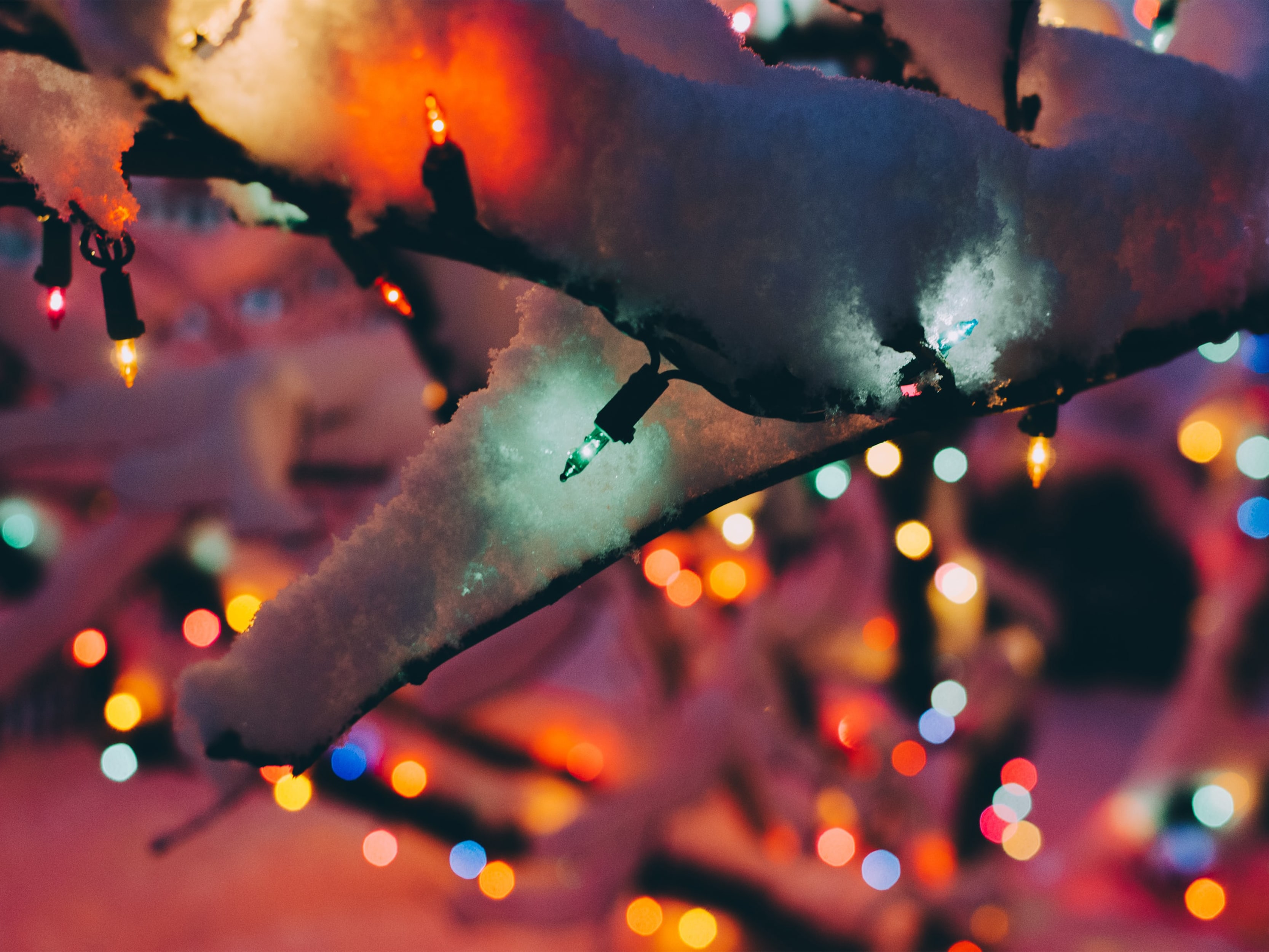 five books to read if you’re dreaming of a white christmas • life ...