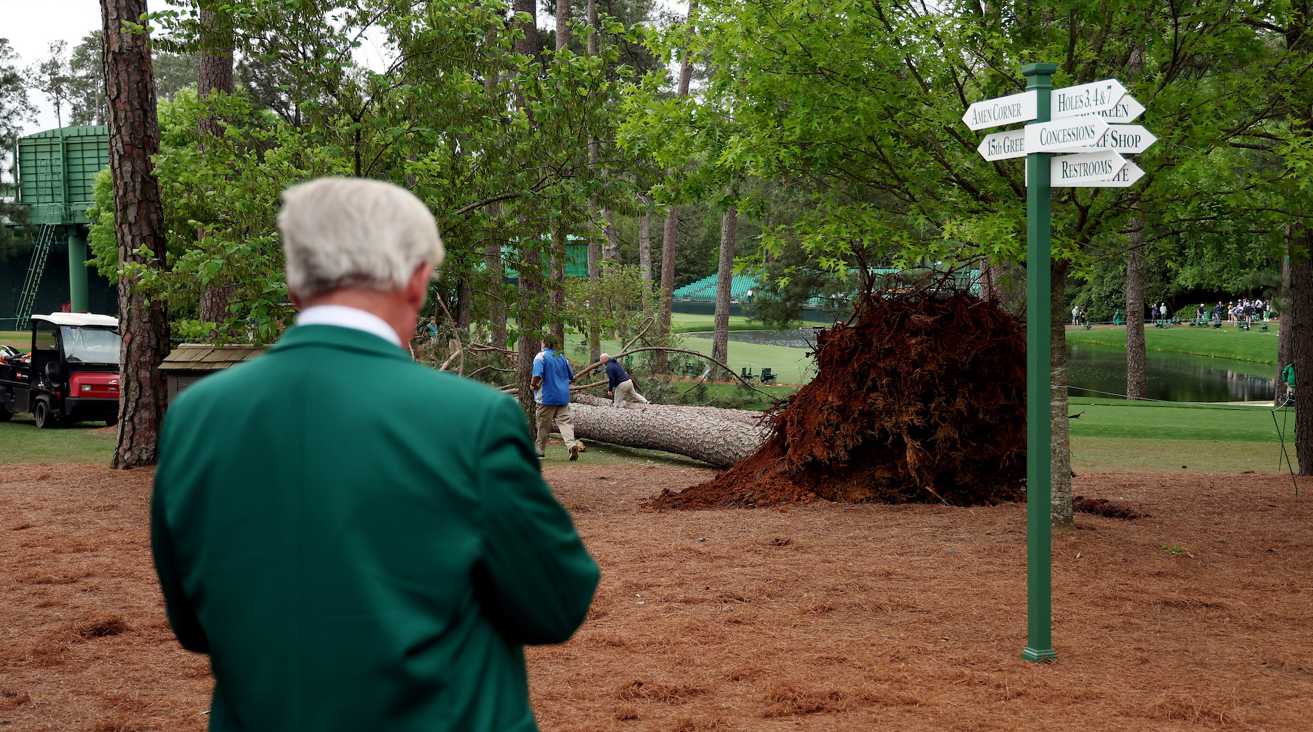 Aussies close by as Augusta tree falls - Golf Australia Magazine