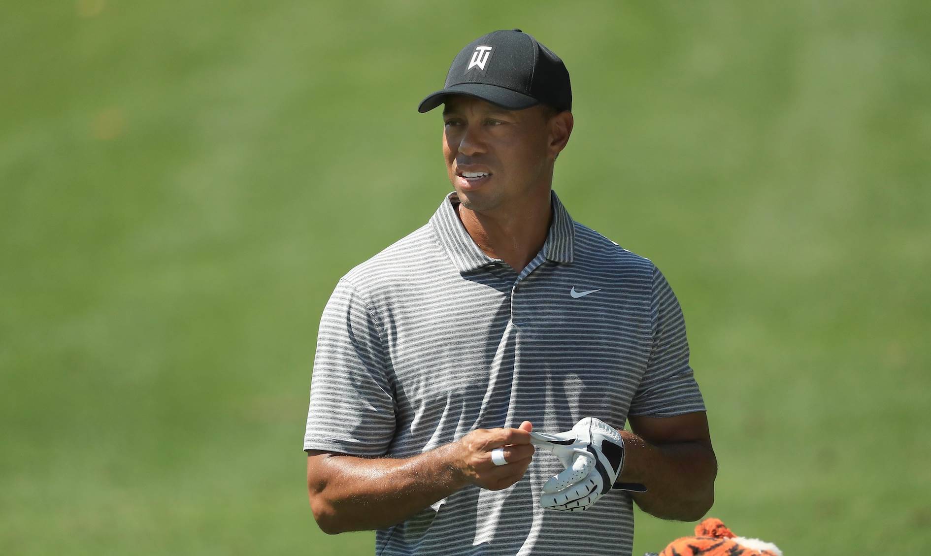 TIGER: I don’t need to win again, I want to - Golf Australia Magazine