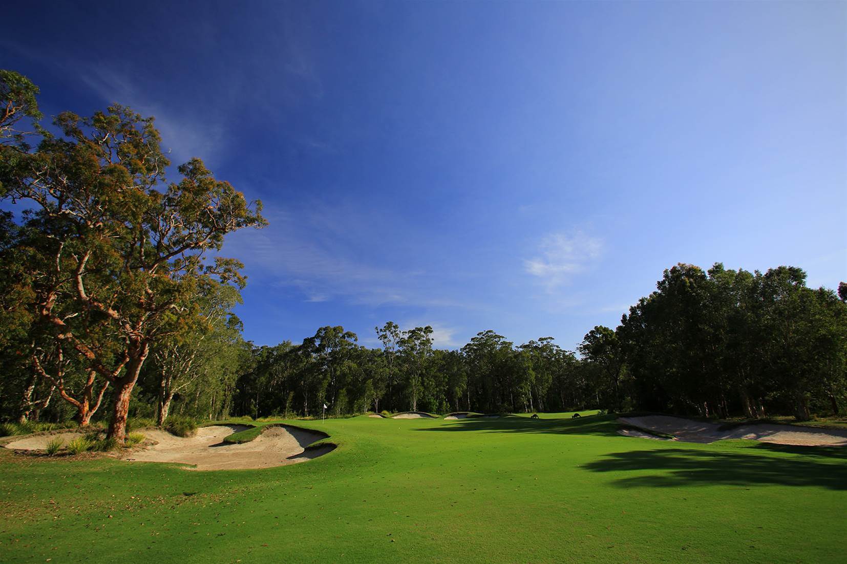 REVIEW: Pacific Dunes Port Stephens - Courses and Travel - Golf ...
