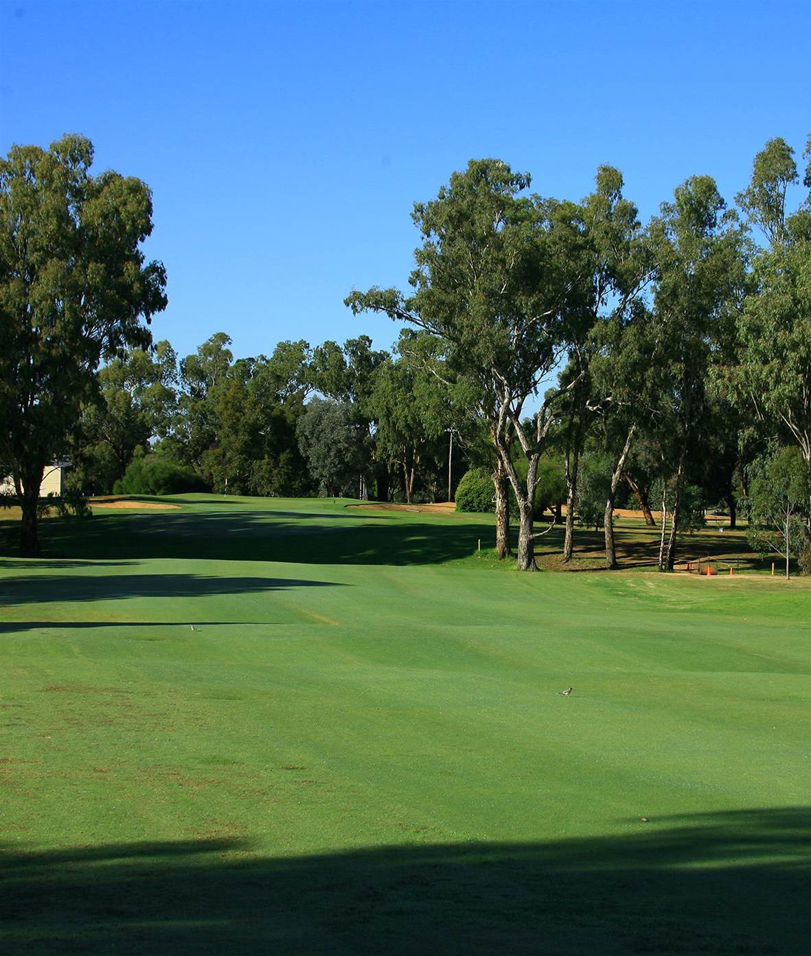 REVIEW: Tocumwal Golf & Bowls Club - Courses and Travel - Golf ...