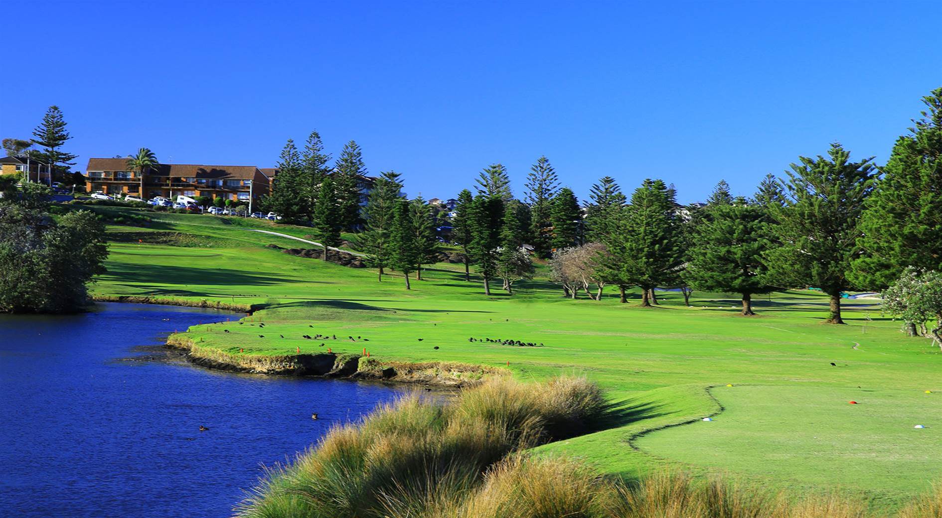 REVIEW: Mona Vale Golf Club - Courses and Travel - Golf Australia Magazine