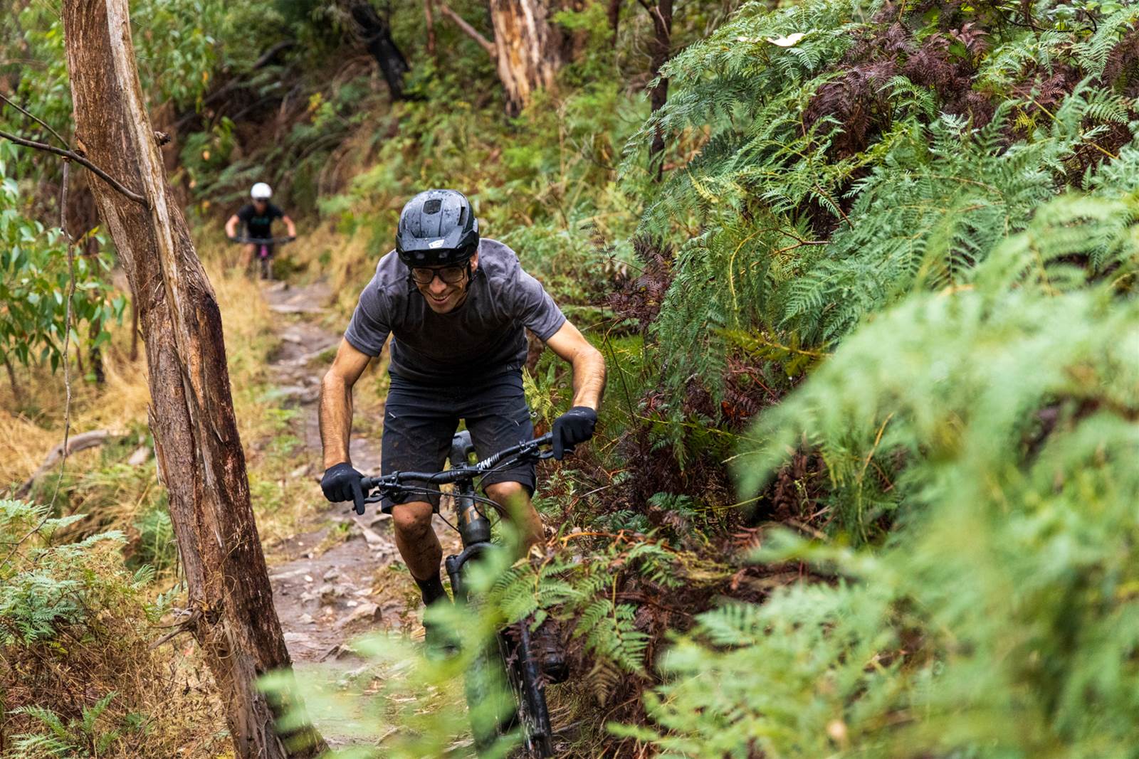 Fox Creek Bike Park: Adelaide's Jewel in the Crown - Australian ...