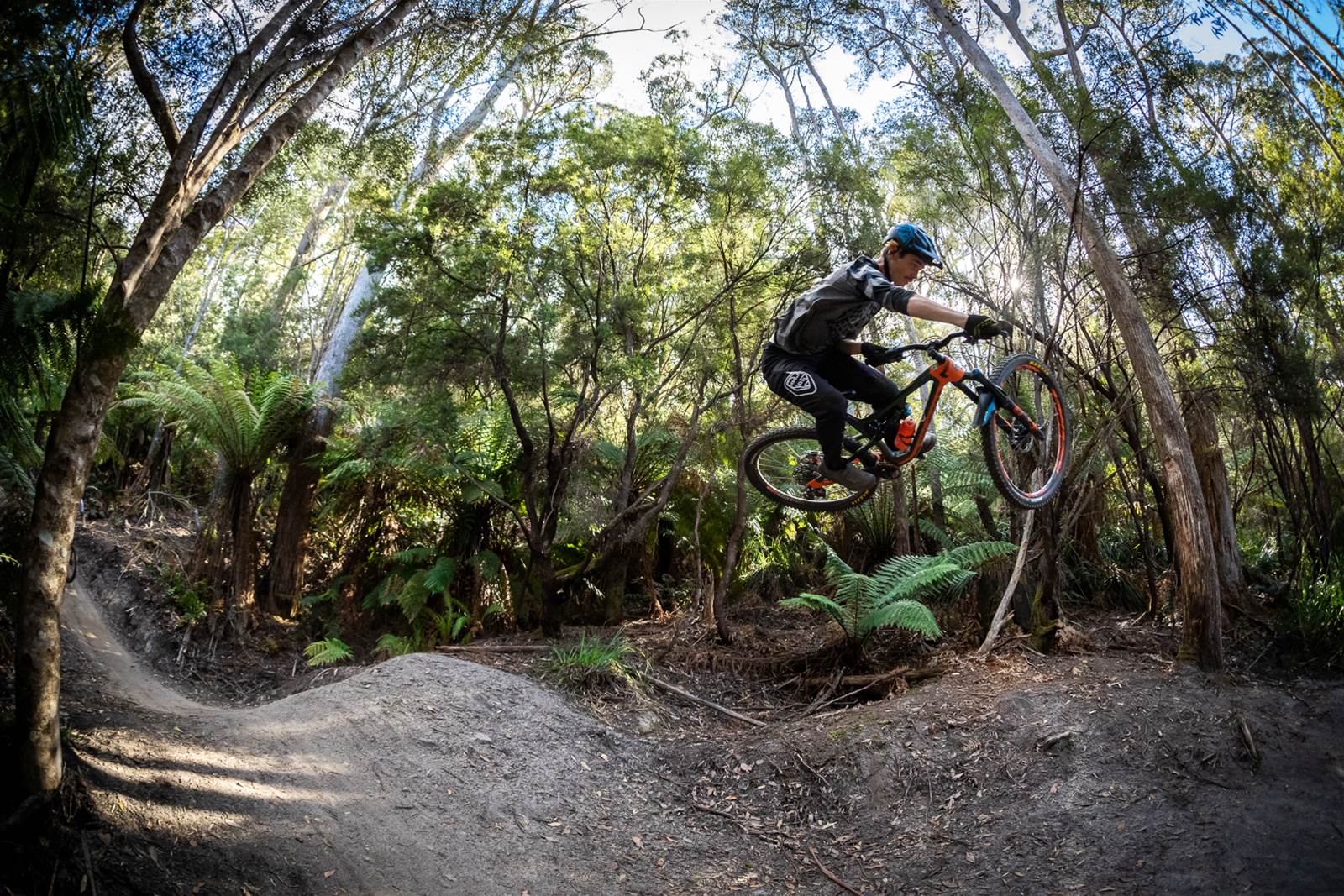 Eat, stay, ride Blue Derby - Australian Mountain Bike | The home for ...