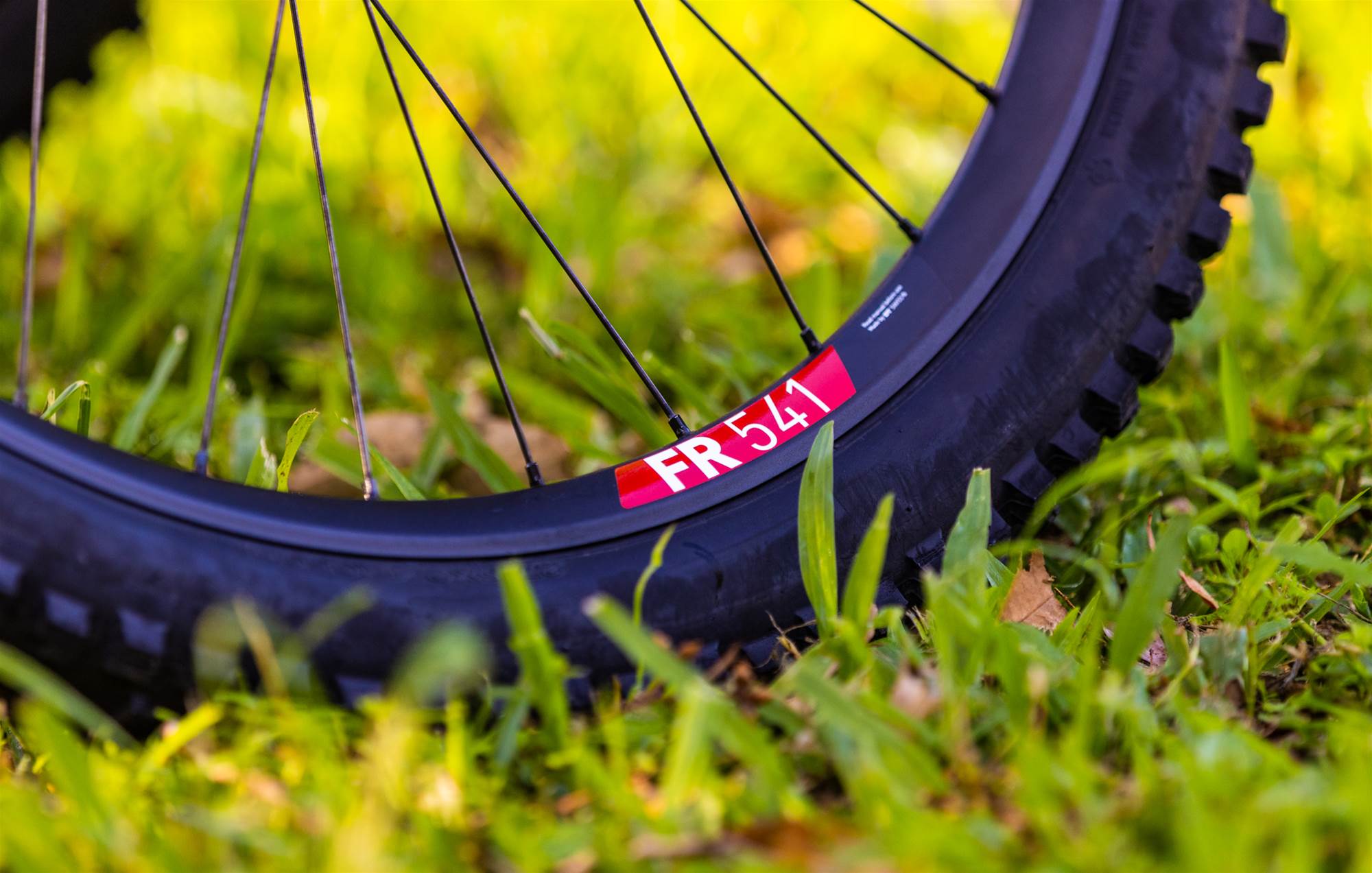 TESTED: DT Swiss FR541 Rims - Australian Mountain Bike | The home for ...