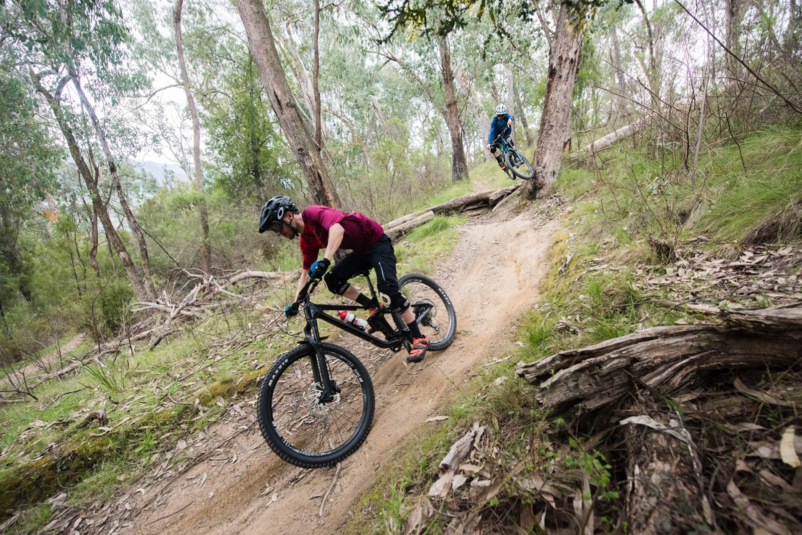 Alpine Foothills: Mt Beauty - Australian Mountain Bike | The home for ...