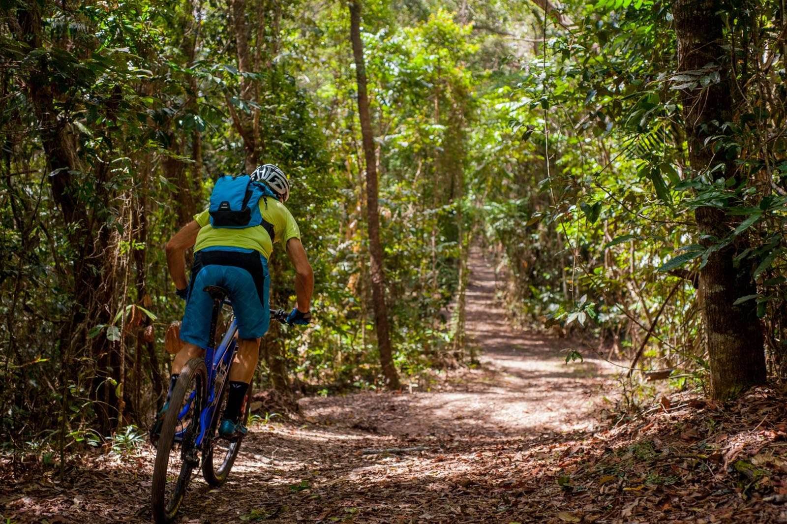 Places that Rock: The Bump Track - Australian Mountain Bike | The home ...