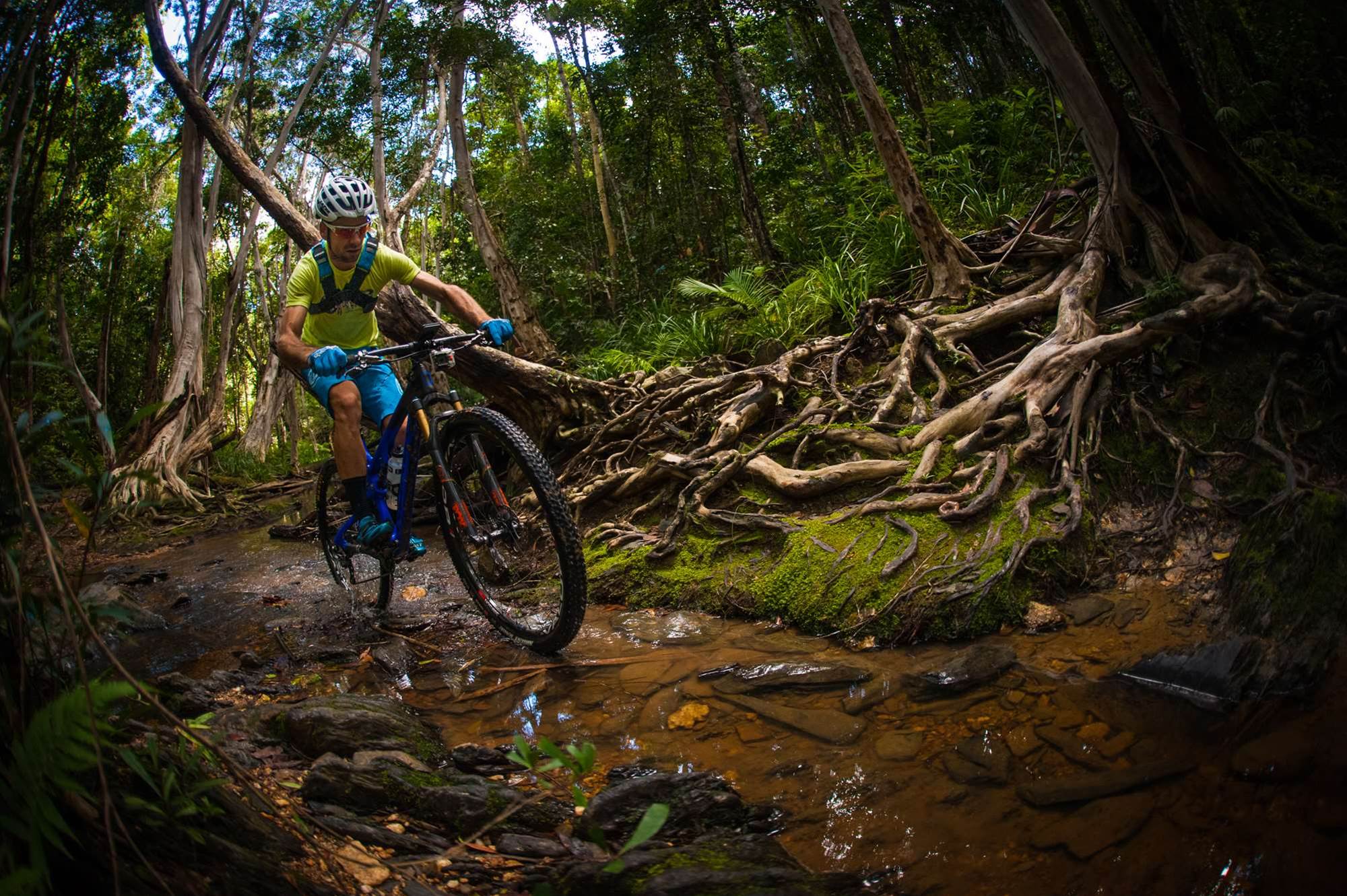 Places that Rock: The Bump Track - Australian Mountain Bike | The home ...