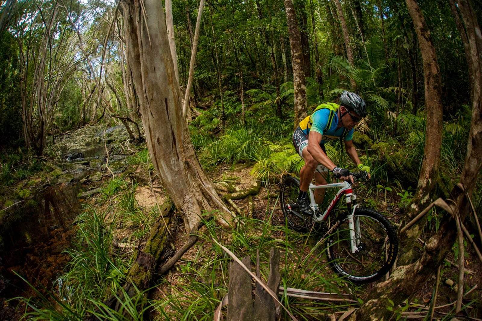 Places that Rock: The Bump Track - Australian Mountain Bike | The home ...