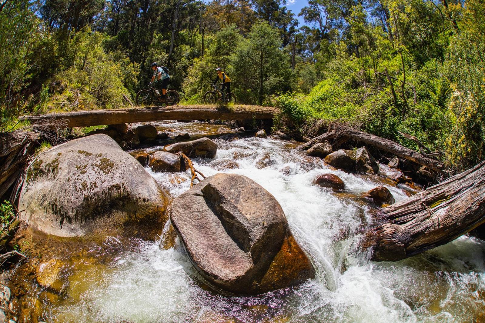 Riding the Delatite River Trail at Mt Buller | AMBmag.com.au