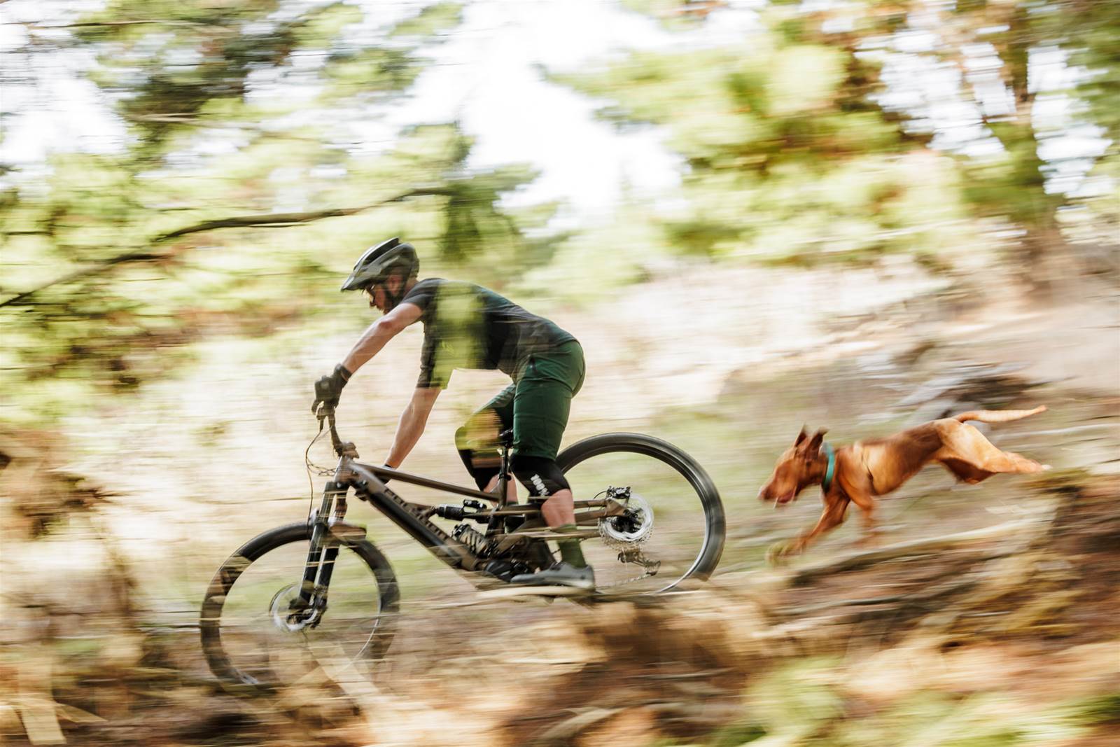 AMB tests the Polygon Collosus N8E e-bike | AMBmag.com.au