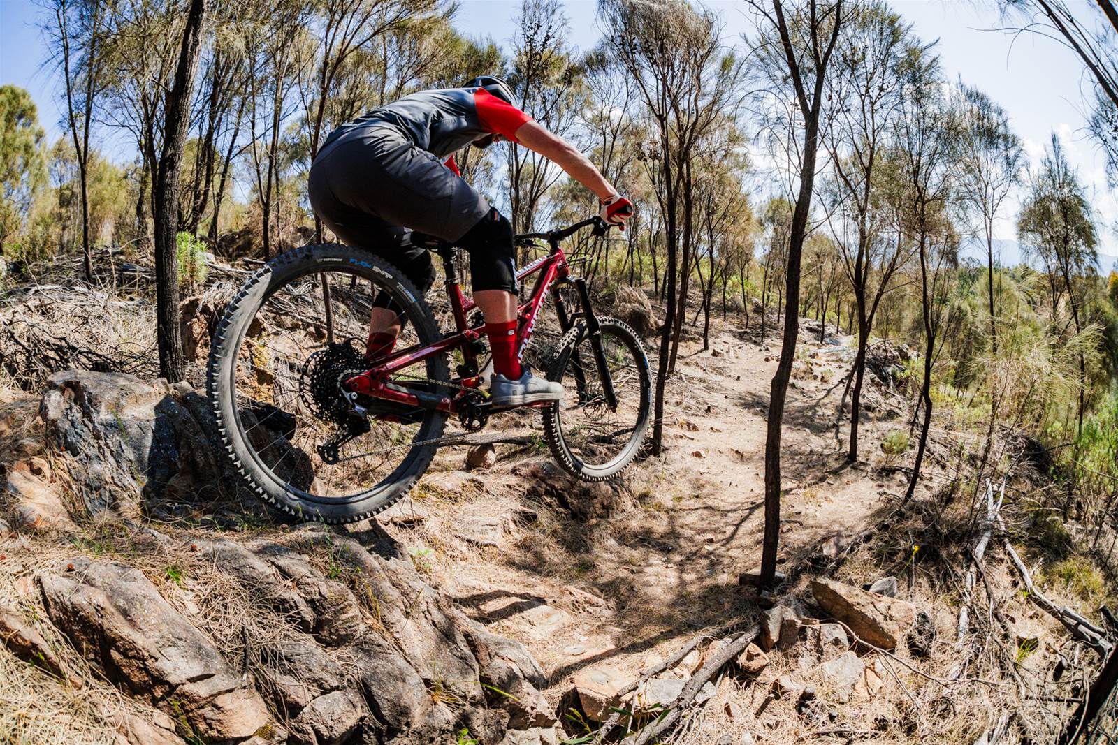 We test the $3299 Polygon Collosus N7 enduro bike | AMBmag.com.au