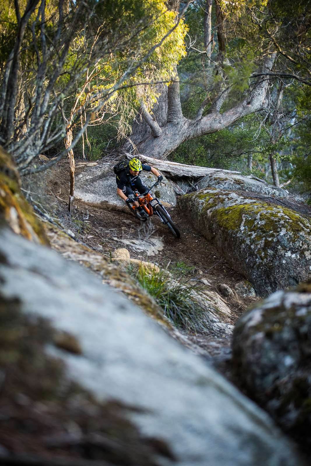 Riding the Blue Tier - Australian Mountain Bike | The home for ...