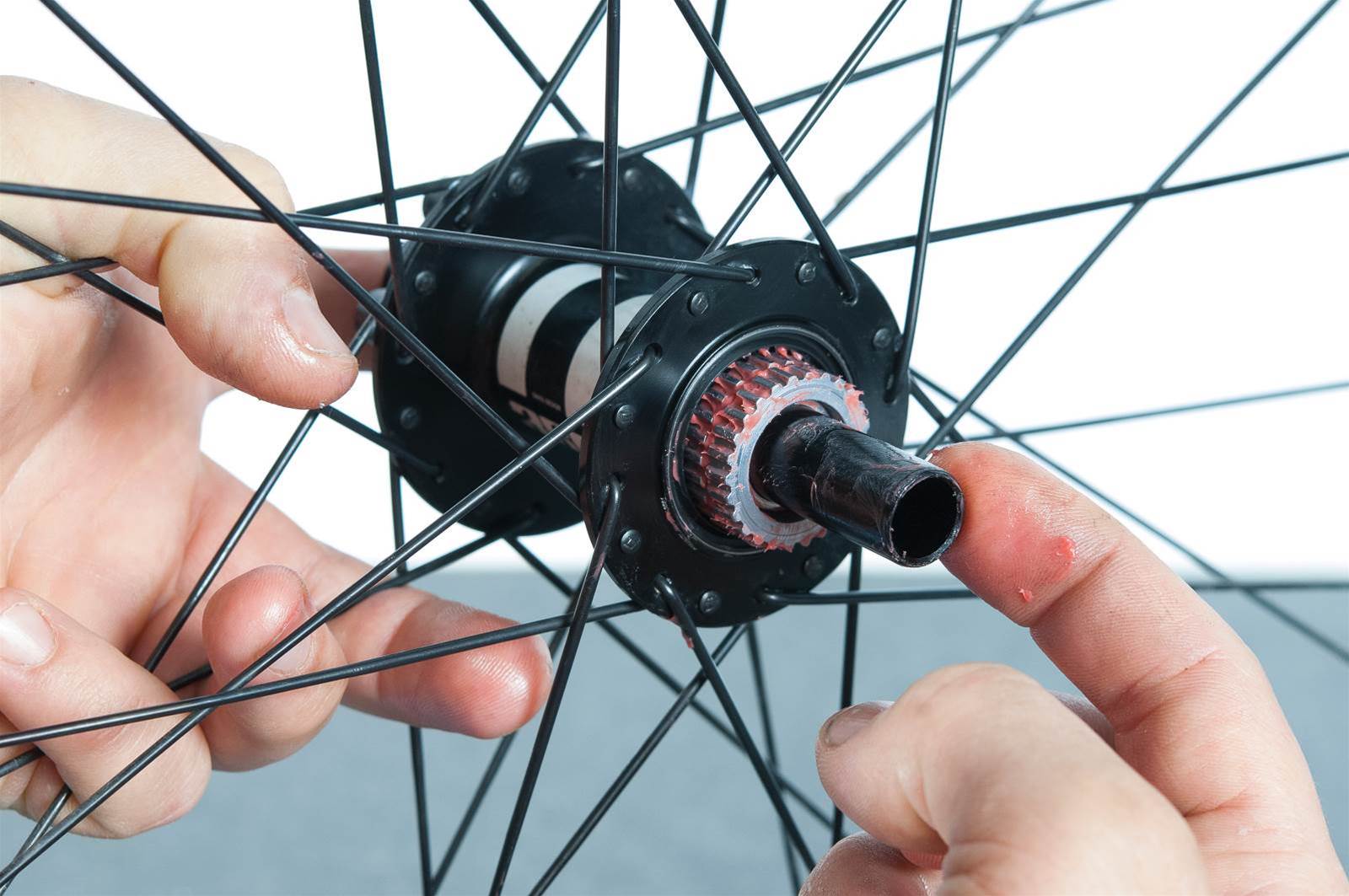 How to service a DT Swiss freehub - Australian Mountain Bike | The home ...