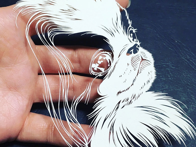 masayo fukuda's paper cutting • art • frankie magazine • frankie ...