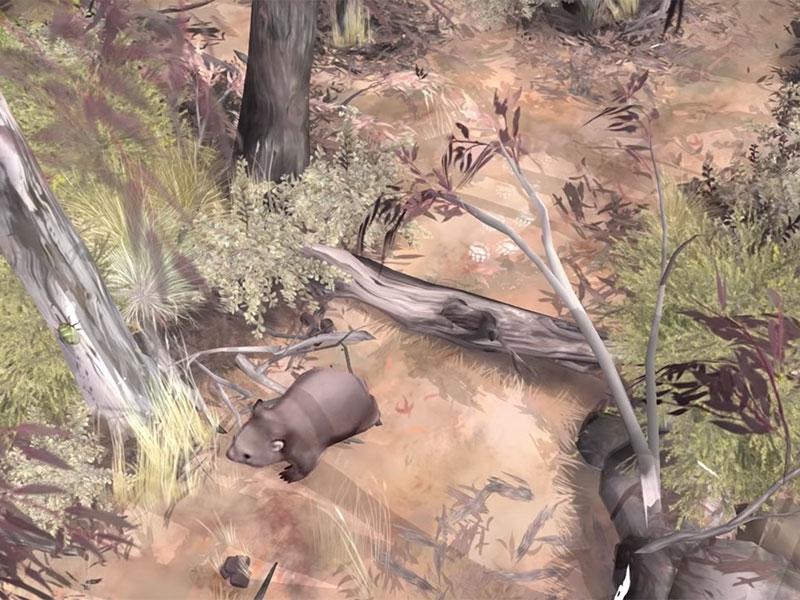 paperbark • art • frankie magazine • australian fashion magazine online