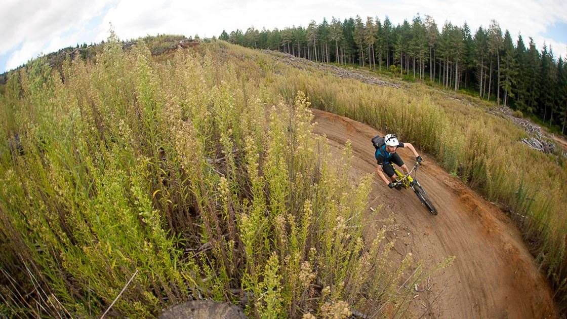 Have you met Fitz? - Australian Mountain Bike | The home for Australian ...