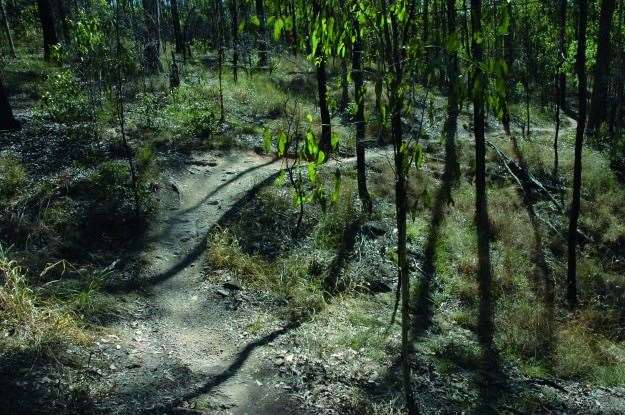 Brisbane Metro Bike Track - Australian Mountain Bike | The home for ...