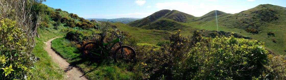 Wellington: Winding through the Windy City - Australian Mountain Bike ...
