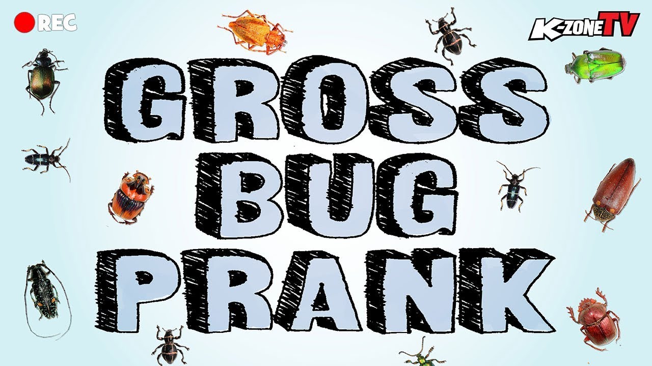 How To: Gross Bug Prank – K-Zone